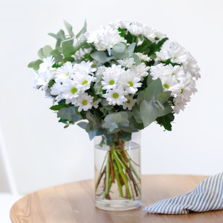 Flores frescas : oferece flores em casa - Interflora